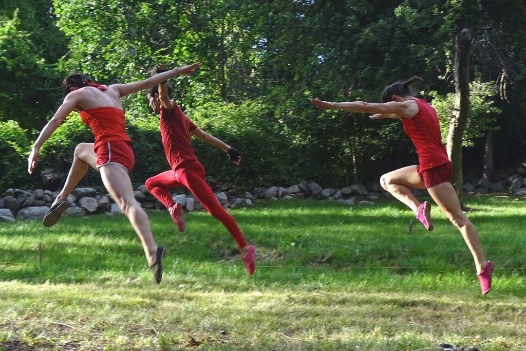 Quarry Dance 5 in Gloucester - BDA